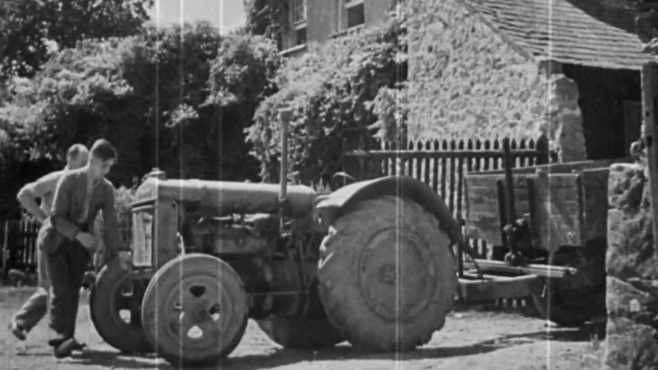 Watch Geest Bananas online - BFI Player