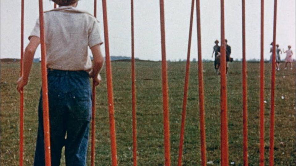 Watch Bad Timing online - BFI Player