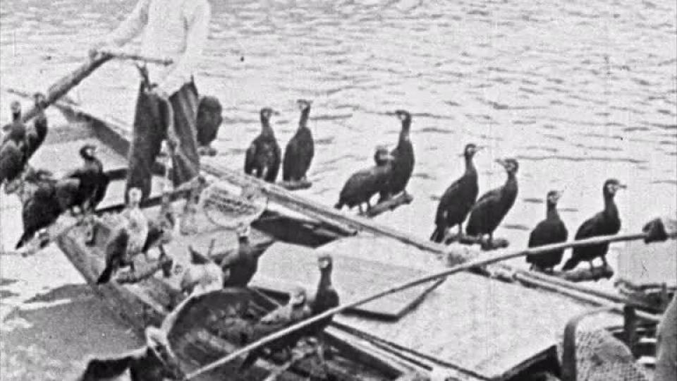 Watch Chinese Scene online - BFI Player