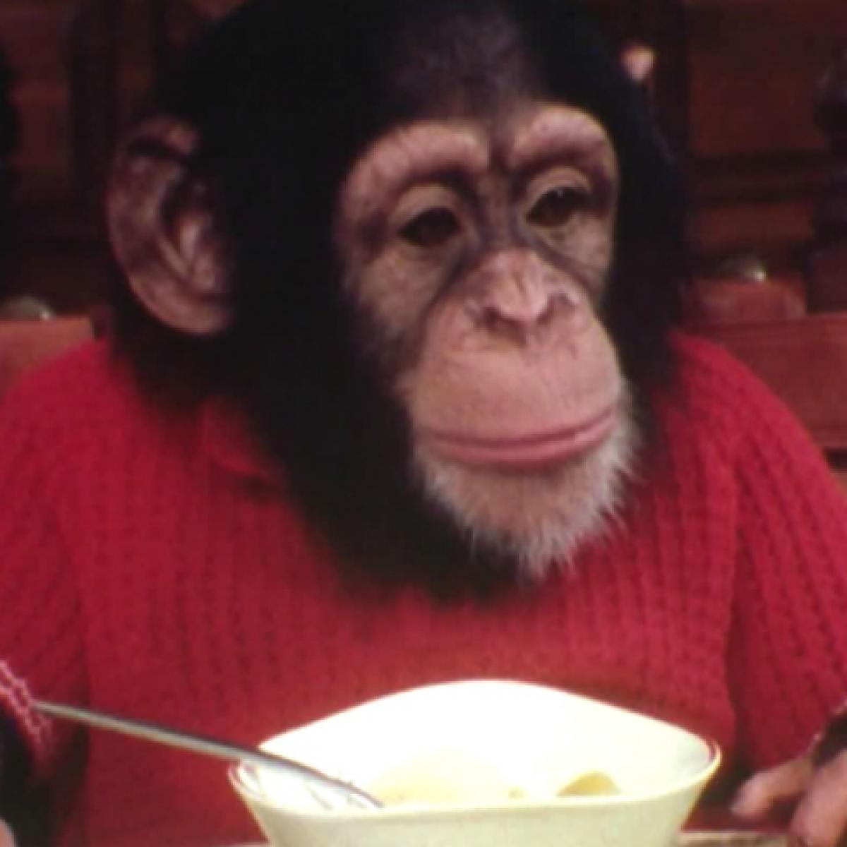 Free collections on BFI Player