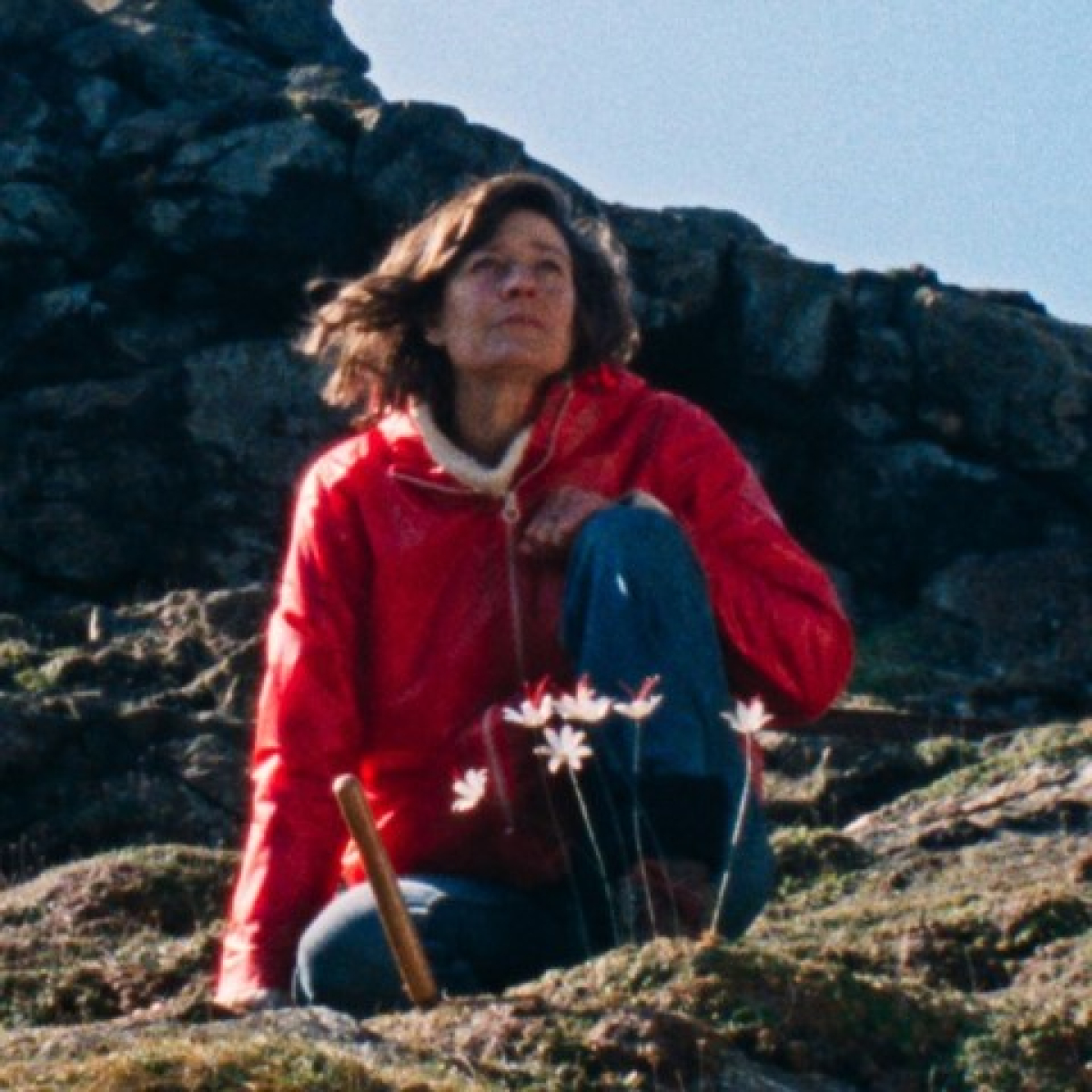 Subscription collections on BFI Player