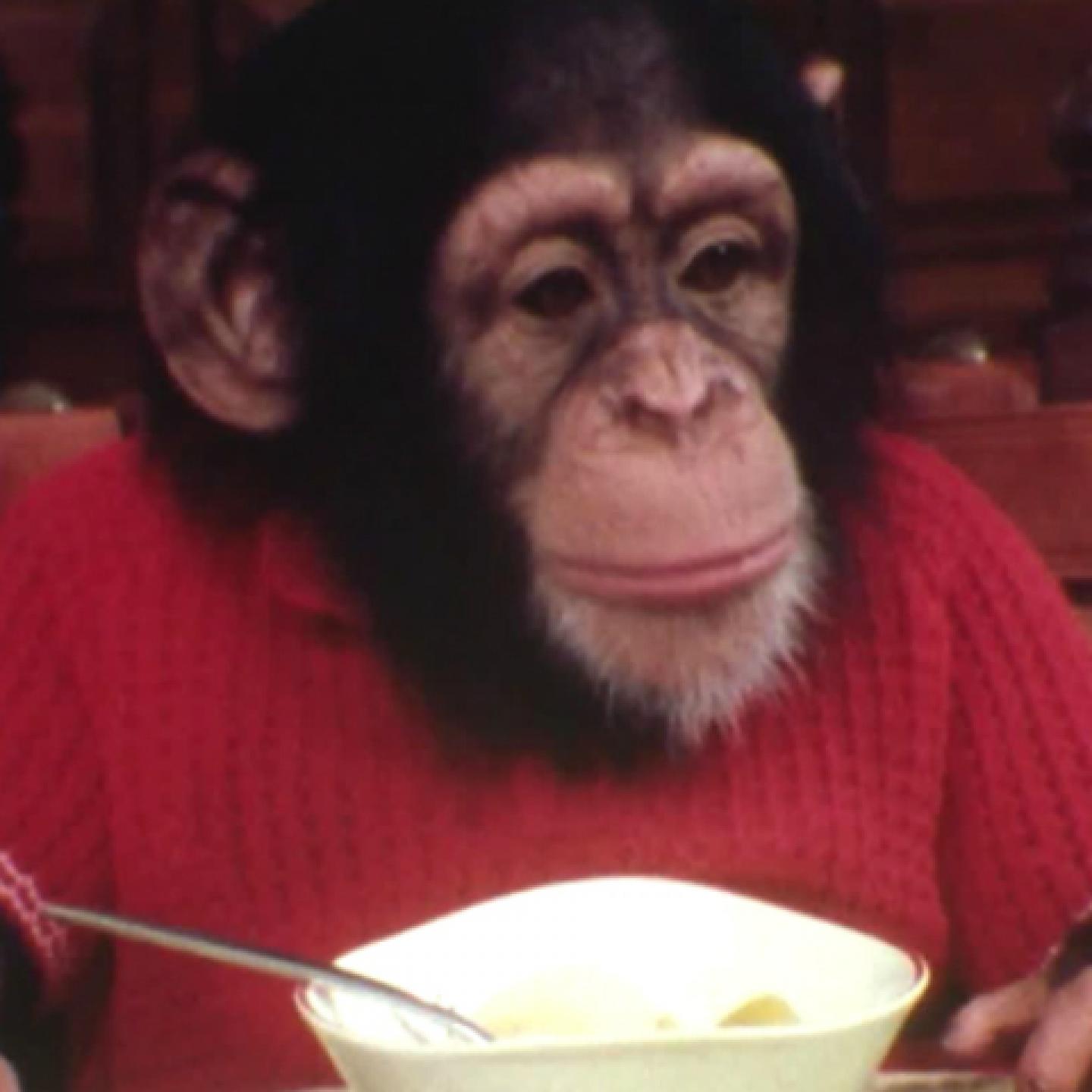 Free collections on BFI Player