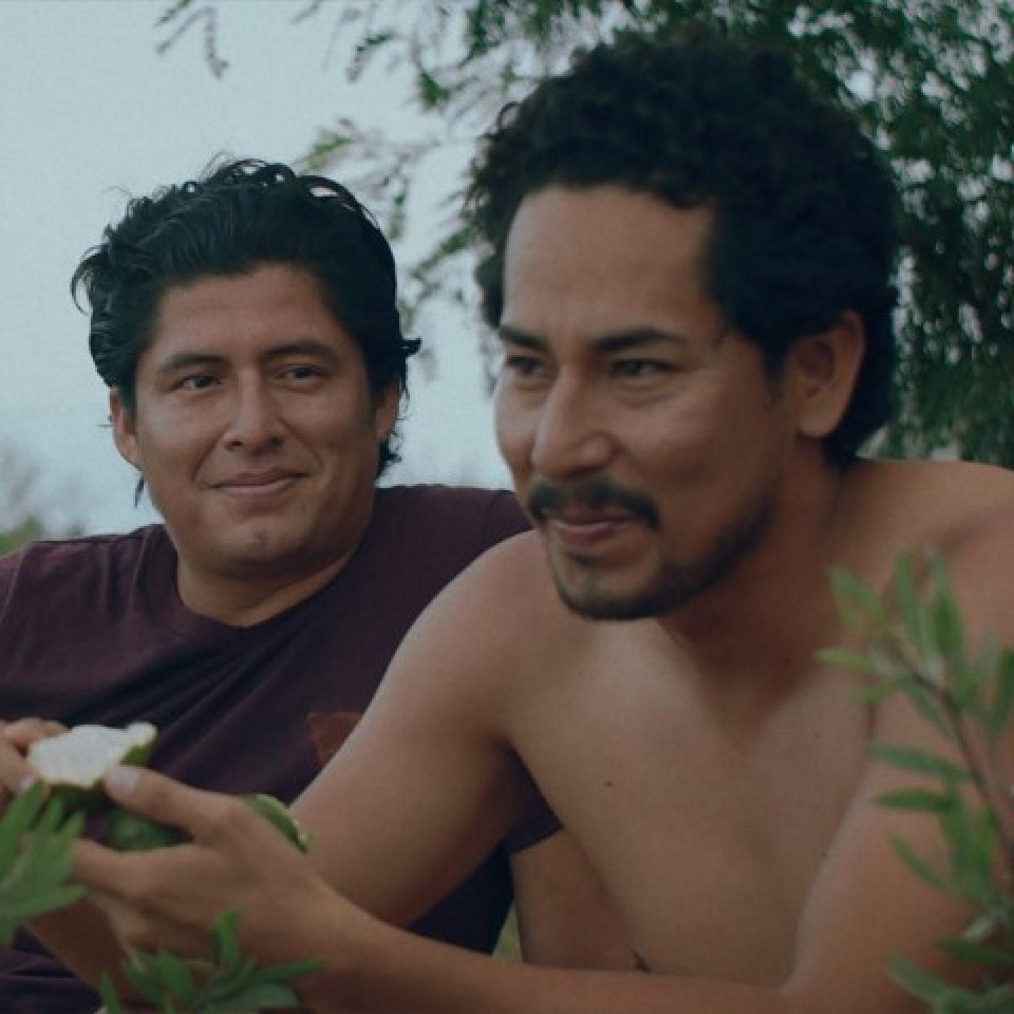 Free collections on BFI Player