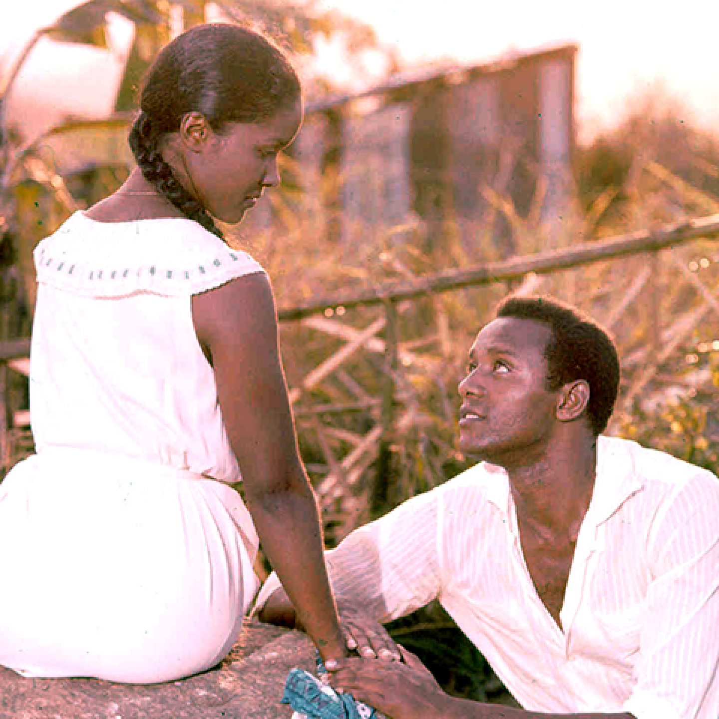 Subscription collections on BFI Player